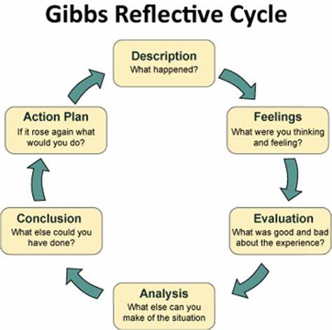 reflective-cycle